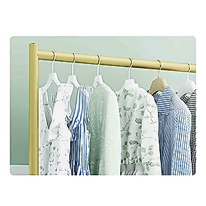 Floor Clothes Rack with Oval Base,Freestanding Hanger,Gold,for Hanging Clothes,Standard Rod Simple,51.2” and 59.1”(Size:80x150cm)