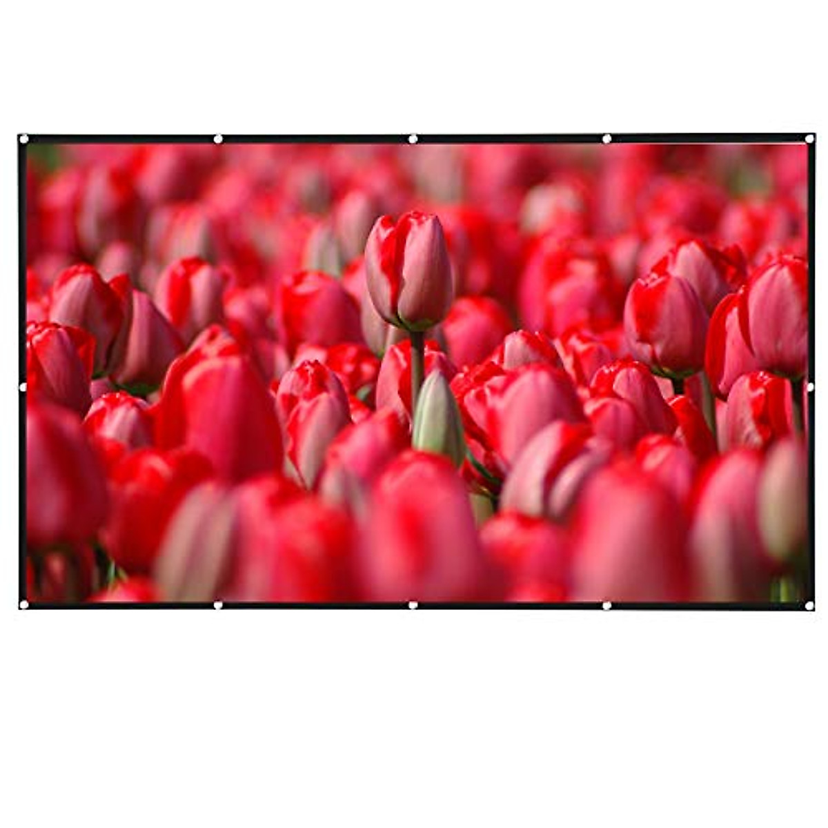 Projector Screen HD Premium Wrinkle-Free Portable Screen 100 inch 16:9 4K StayTrue - Indoor and Outdoor Projection Movie Screen for Movie or Office Presentation Home Theater