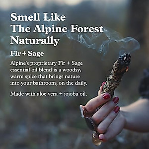 Alpine Provisions Fir & Sage Shampoo - Naturally Repair, Cleanse, and Hydration with Essential Oils, Jojoba, Aloe Vera - Vegan, Sulfate - Plant-Based Hair Care for Healthier, Softer Hair - 16.9 FL Oz