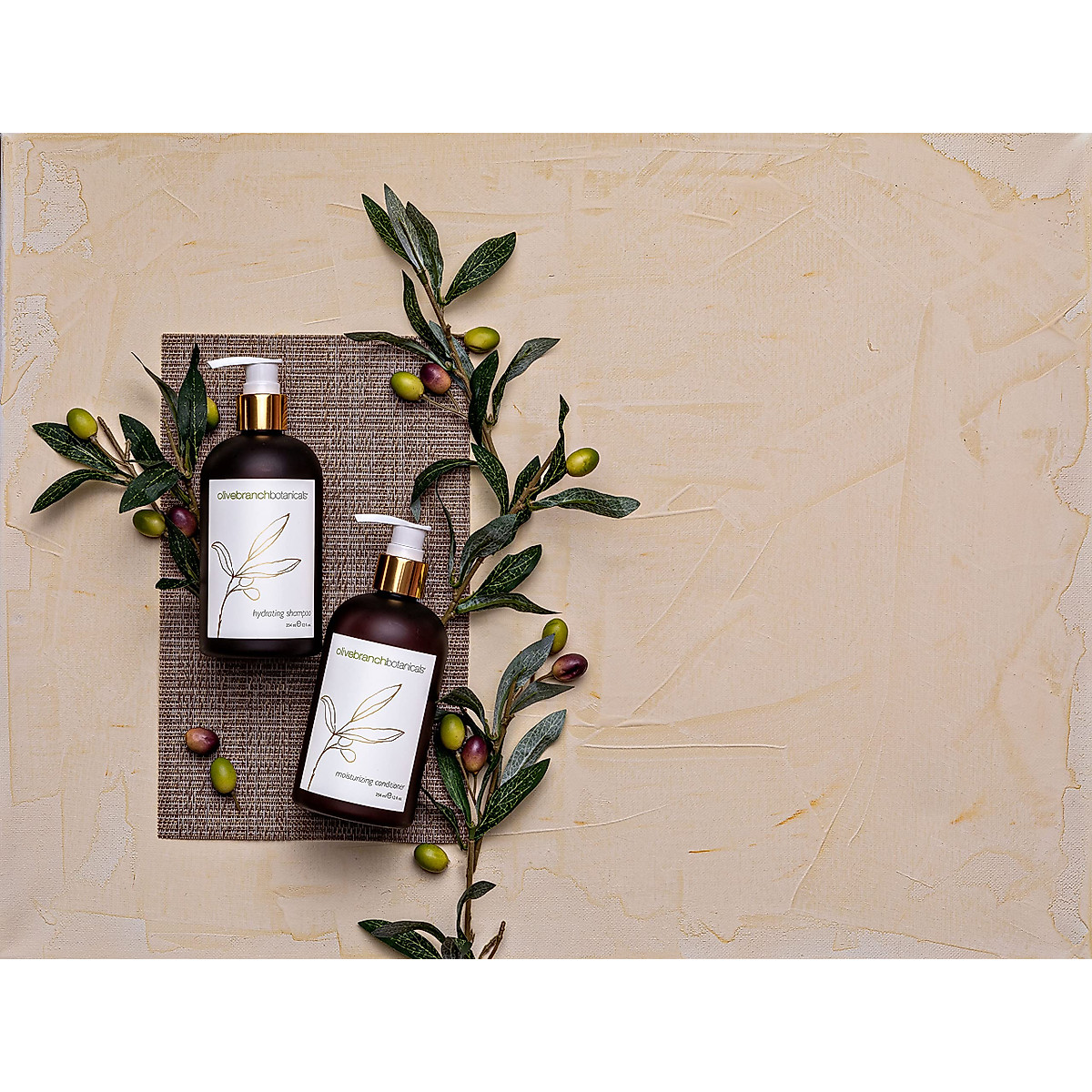 Gilchrist & Soames Olive Branch Shampoo - 12oz - All Hair Types, Zero Parabens, Sulfates, and Phthalates