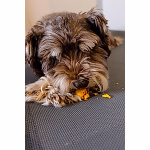 Munchbird Dehydrated Chicken Jerky Wrapped Egg Yolk Dog Treats, 100% Egg Yolk, Food Topper for Dogs, No Filler, Alternative to Freezed Dried Quail Egg Yolk, 7 OZ (Pack of 20 to 30 Egg yolks)