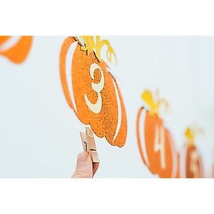 Pumpkin 1st Birthday Photo Banner Orange and Gold Glitter, Pumpkin Patch Baby Monthly New Born Garland 12 month Little Pumpkin First Themed Decorations Baby Thanksgiving Party Milestone Fall Photo