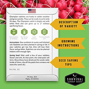 Survival Garden Seeds - Champion Radish Seed for Planting - Packet with Instructions to Plant and Grow Red Radishes in Your Home Vegetable Garden - Non-GMO Heirloom Variety