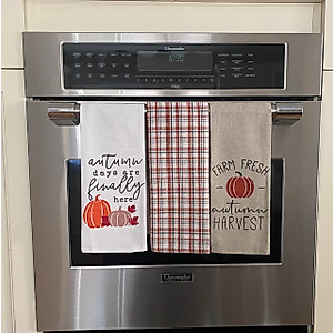Serafina Home Farmhouse Kitchen Dish Towels: Autumn Days are Finally Here, Enjoy! Pumpkin Theme (Design 4)