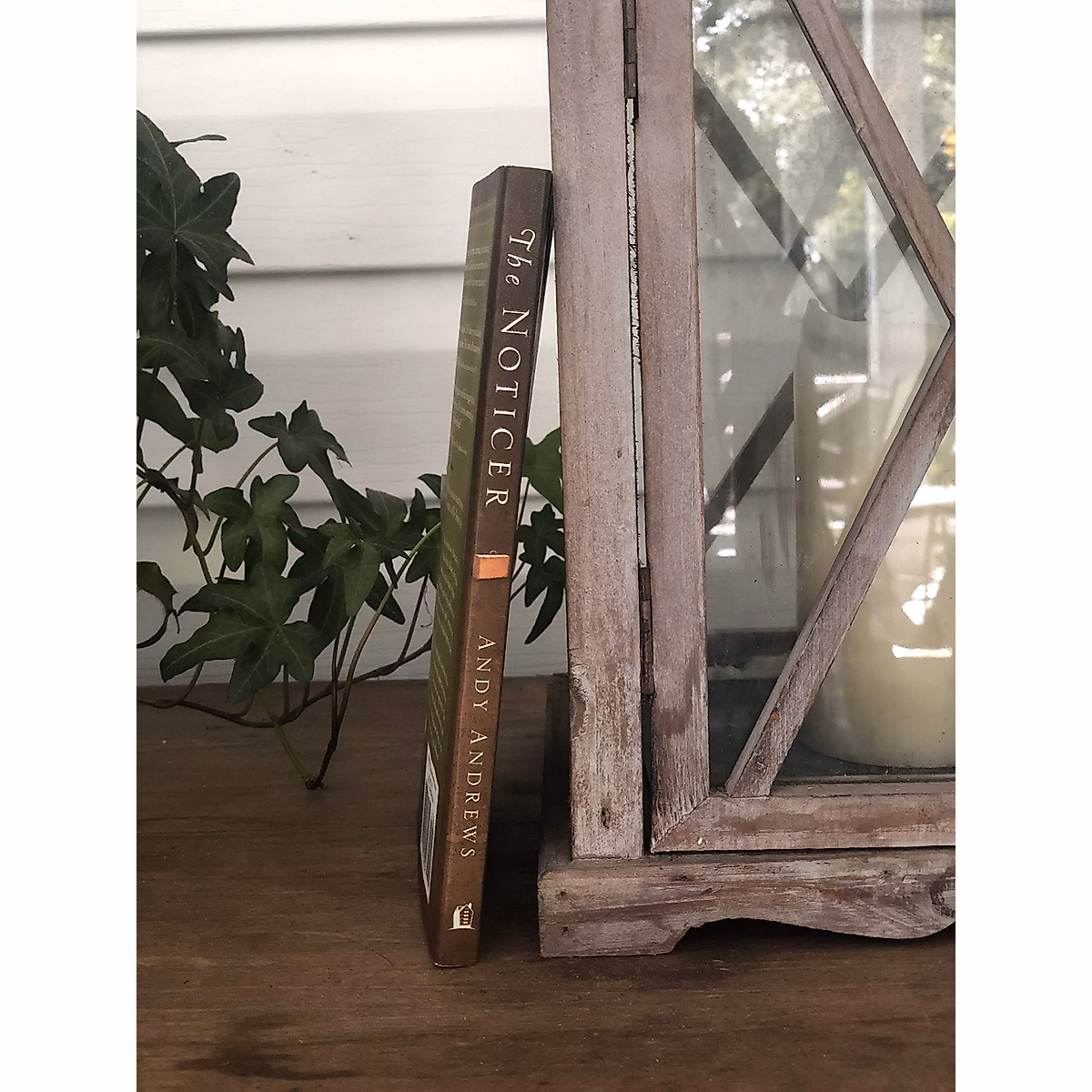 The Noticer: Sometimes, all a person needs is a little perspective