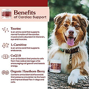 FERA PET ORGANICS Cardiac Support Supplement for Dogs and Cats, Improves Blood Flow, Energy – with Taurine, CoQ10, Organic Hawthorn Berry, Supports Cardiovascular Heart Health – 120 Capsules