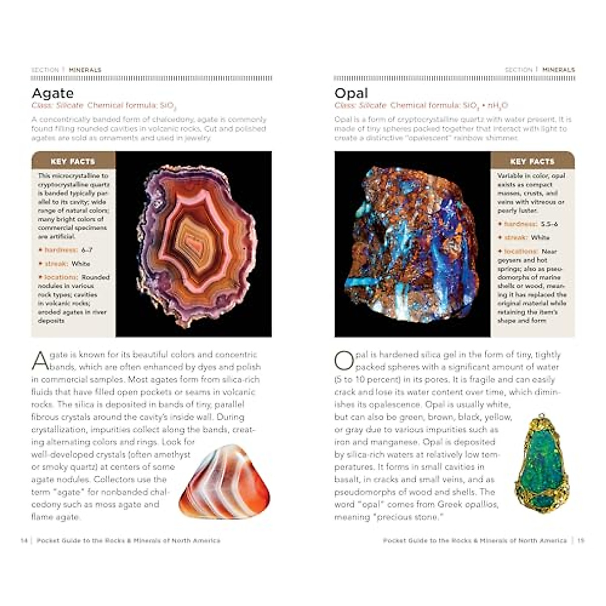 National Geographic Pocket Guide to Rocks and Minerals of North America (Pocket Guides)