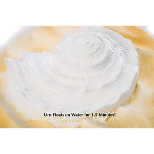 Biodegradable Urn for Human Ashes (Oceanside Shell White) Water Burial Urn, Urn Floats in Water, Urn for Cremation, Ocean Water Scattering Urn for Ashes, Floating Urn, Earth Memorials W-304