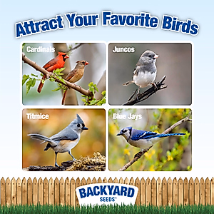 Backyard Seeds Coarse Sunflower Hearts Bird Seed 10 Pounds