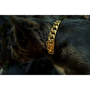 Bully Chainz Hermes Small Gold Cuban Link Metal Dog Chain Collar with Buckle Design - 18K Cuban Link Chain Strong Heavy Duty Chew Proof Stainless Steel 15MM Wide Chain - Puppy Collar for Small Dogs