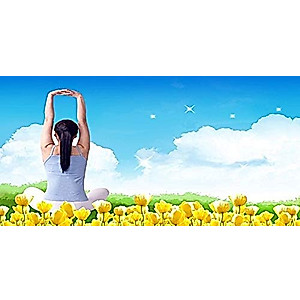 CANADA TRUE premium Ceylon Black Tea -25 Tea Bags 50g Can Package (Maple Earl Grey Tea)