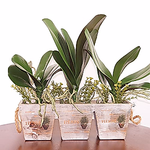 Qianmo Artificial Orchid Leaf Plants PU Latex Real Touch Faux Leaves Arrangement Home Décor Office Garden Bonsai Decoration Flowers (Big Size (3 Bunches))