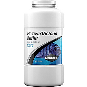 Malawi/Victoria Buffer, 1.2 kg / 2.6 lbs
