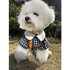 QWINEE 3pcs Dog Dress & Flower Bow & Necklace Set Geometric Princess Dress with Flower Bow Deco Puppy Skirt with Pearls Jewelry Necklace for Small Medium Cats Dogs Kitten Black and White XS