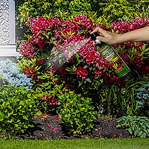 Spectracide Triazicide Insect Killer For Landscapes And Gardens Outdoor Fogger 16 Ounces