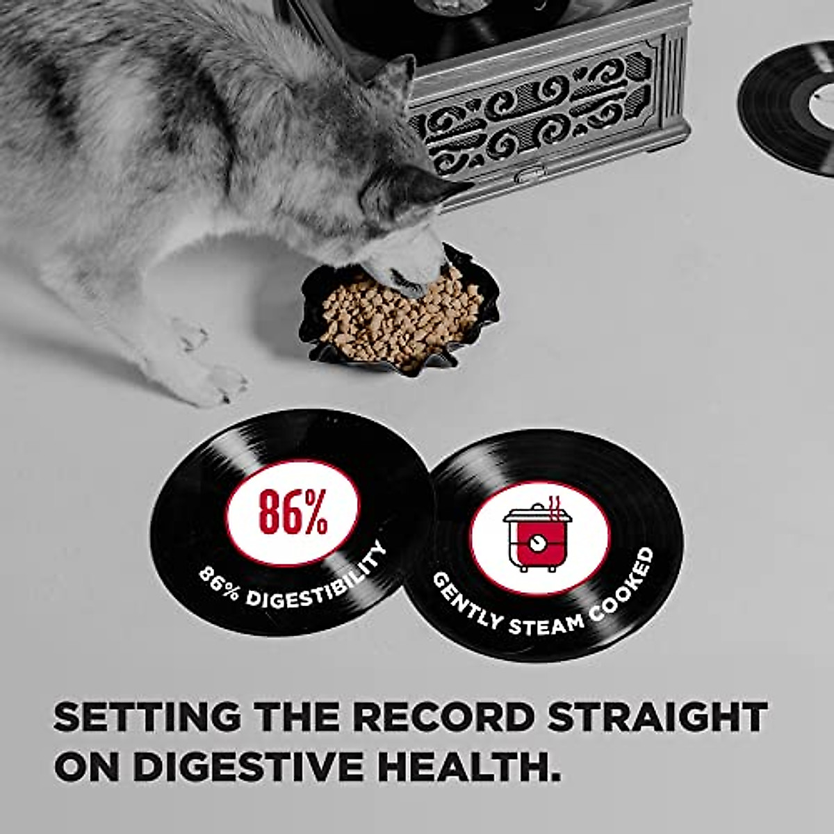 BIXBI Liberty Grain Free Dry Dog Food, Beef, 4 lbs - Fresh Meat, No Meat Meal, No Fillers - Gently Steamed & Cooked - No Soy, Corn, Rice or Wheat for Easy Digestion - USA Made