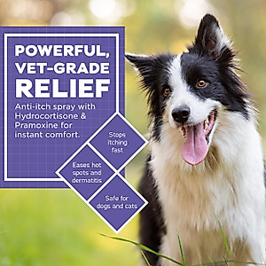 VetWELL Hydrocortisone Spray for Dogs & Cats - Itchy Skin Relief from Hot Spots, Bites, Scrapes, Irritated Skin, & Dermatitis - 4 oz Anti Itch Spray with Pramoxine