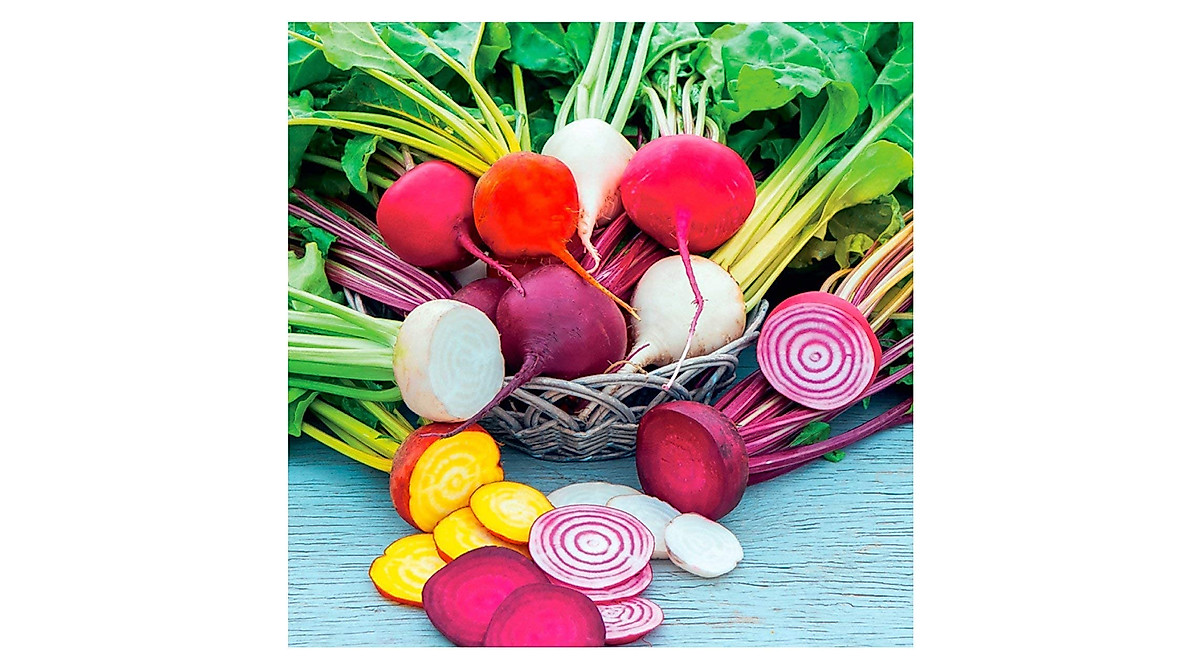 Rainbow Beet Seed Mix - 1,500+ Non-GMO Heirloom Seeds