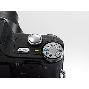 Sony Cyber-shot DSC-H3 8.1 MP Digital Camera with 10x Optical Zoom with Super SteadyShot Image Stabilization