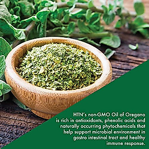 Health Thru Nutrition Oil of Oregano 120 Mini-Softgels | Wild Harvested | European 40:1 Origanum Vulgare Equivalent to 600mg Oregano in Extra Virgin Olive Oil | Non-GMO Gluten Free (Pack of 120)