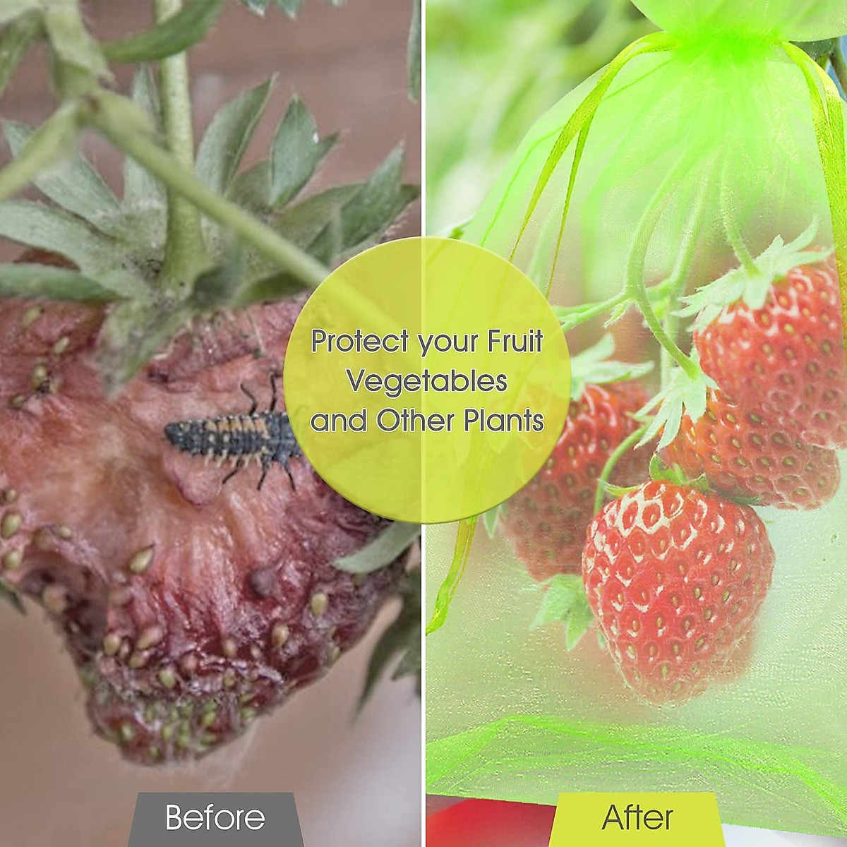 100 Pcs Fruit Protection Bags for Fruit Trees 6 x 8 Inch, Green Mesh Fruit Netting Bag, Fruit Cover Net Bags with Drawstring for Grape Apple Mango Peach Protect from Insect Birds Squirrels