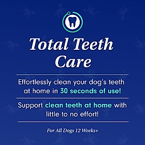 PetLab Co. – Total Teeth Care Bundle: Dental Powder for an Effortless Deep Clean in 1 Scoop for Large Dogs & Dental Chews - Target Dirt & Tartar Build-Up - Easy to Use