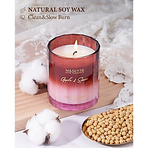 M&SENSE Apple Spice Soy Candles for Home Scented 10.6oz 60 Hour Long Lasting Slow Burning, Organic Natural Christmas Candle Highly Scented Winter Holiday Fragrance Gift for Women Men