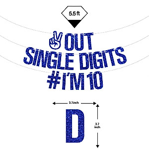 Out Single Digits I'm 10 Banner, Double Digits 10, Happy 10th Birthday Decorations for Boys, 10th Birthday Party Decoration Supplies Blue Glitter