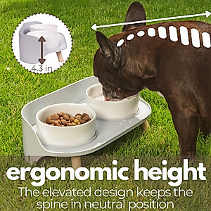 A4DOG Ceramic Dog Bowls with Stand - Elevated Dog Water and Food Bowl Set 13.5oz Cat & Dog Feeding Station Spill Proof Splash Proof Raised Pet Food Bowls for Dogs, No Mess Pet Feeder - Gray