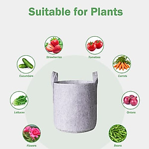 DECORLIFE 12-Pack Grow Bags, 5 Gallon Thickened Nonwoven Fabric Pots with Handles, Grey, Come with Plant Labels