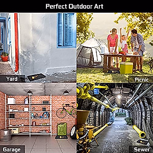 10 Pack Sticky Mouse Trap Rat Traps Indoor, Mouse Traps Indoor for Home, Glue Traps for Mice and Rats, Snake(Large Size)