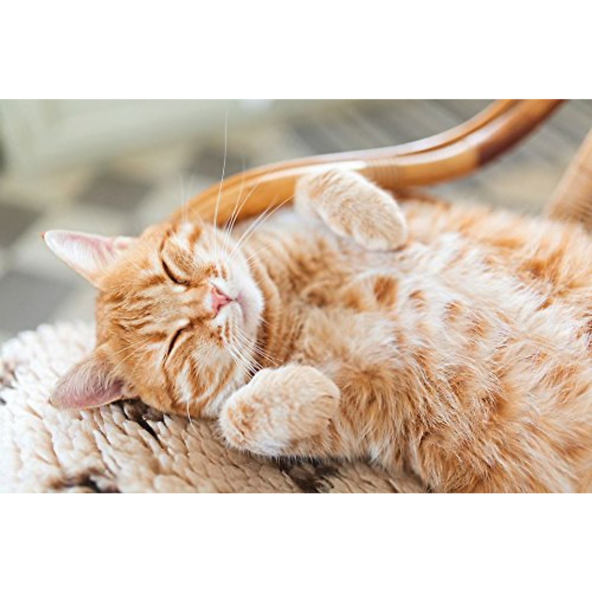 cat vitamin treats - CATS ULTRA VITAMINS - ADVANCED MINERAL AND VITAMIN SUPPORT - PREMIUM TREAT - cat vitamin b supplement - 270 Treats (3 Bottle)