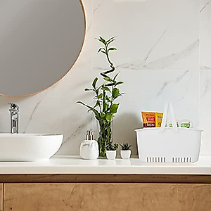 carrotez Shower Caddy Basket, Plastic Storage Basket for Bathroom, Shower Basket, Portable Storage Organizer with Handles for Bathroom, College Dorm, Bedroom, Kitchen