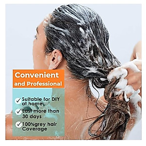 TSSPLUS Black Hair Dye Shampoo, 500ml - Organic Natural Hair Color Dye Shampoo for Women & Men, Instant Gray White Hair Cover, Plant Essence, Semi-Permanent