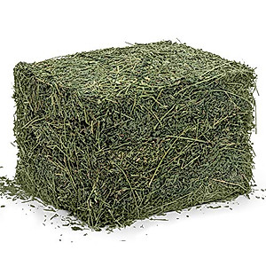 High Desert Alfalfa Hay - Dried Natural Alfalfa Hay for Rabbits, Guinea Pigs, Chinchillas, and Ferrets - Protein and Fiber Rich Food for Small Animals - Healthy Pet Food