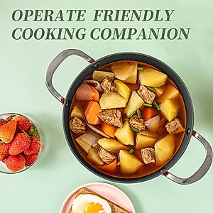 Flamingpan 5.5 Quart Nonstick Stock Pot, Ceramic CoatingStockpot, Casserole Oven Safe & Easy to Clean,Stock Pot Suitable for Any Cooktop & Dishwasher,Durable for Using, Pot for Kitchen & Dinning