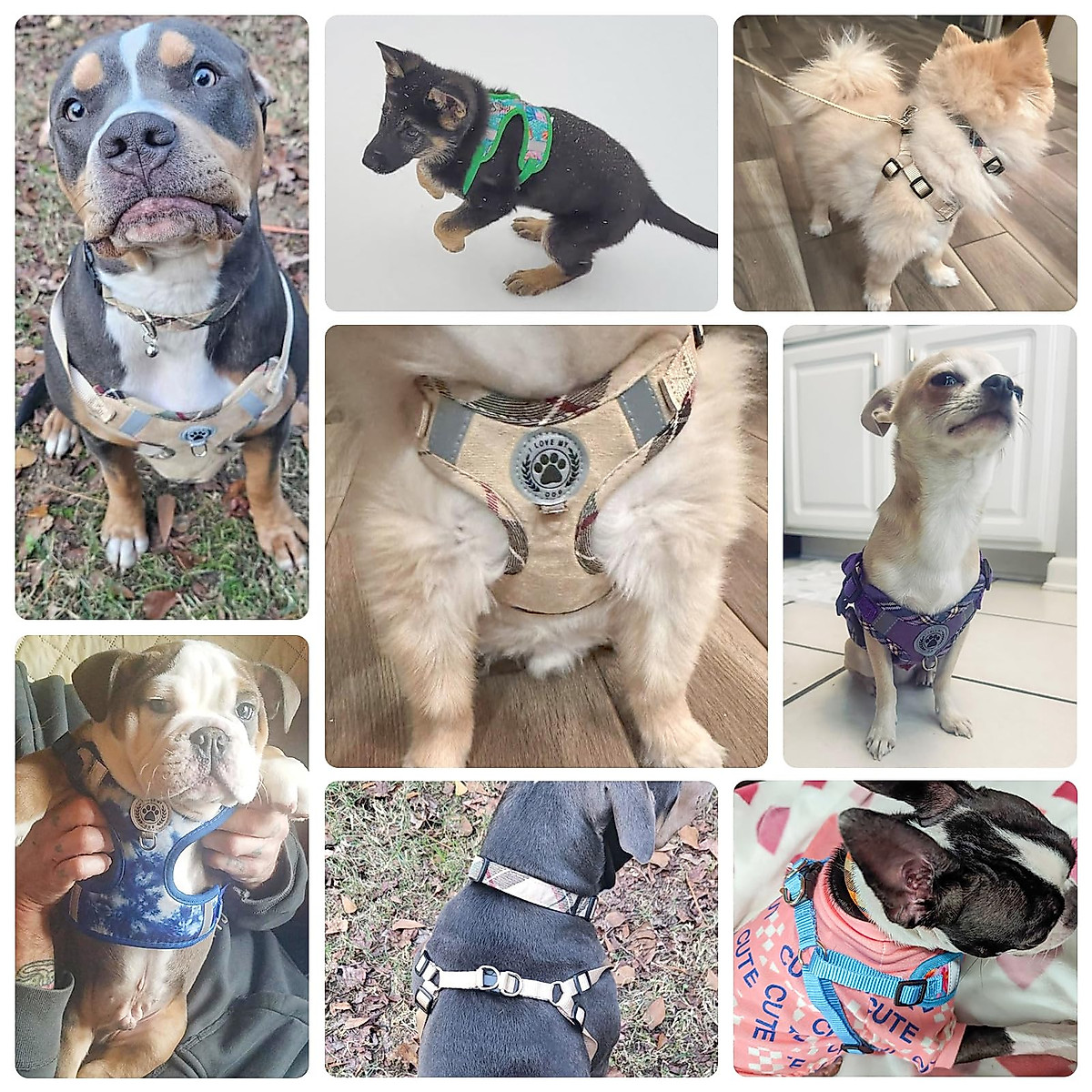 BEAUTYZOO Step in Dog Harness Collar and Leash Set for Small Medium Large Dogs, No Pull No Choke Puppy Harness, Soft Mesh Reflective Pet Padded Vest Adjustable for Doggie Girl or Boy,French Bulldog