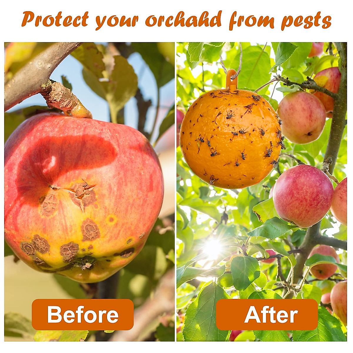 osseph Fruit Fly Traps Ball Sticky Traps Ball, 6 PCS Gnat Traps Flying Insects Traps Ball for Indoor Outdoor House Kitchen Plants Trees Flying Insects (6PCS, Yellow)