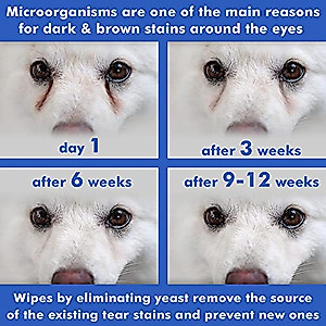 rava Pet Eye Wipes - for Dogs Cats Puppies & Kittens - 100 Count - Natural and Aromatherapy Medicated - Removes Dirt Crust and Discharge - Prevents Tear Stains (Pet Eye Wipes)