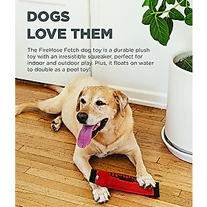 Outward Hound FireHose Fetch Dog Toy, Small