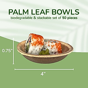 THE CLEAR CONSCIENCE TCC - Palm Leaf Appetizer Plates, 4" round, 50 pcs, Bamboo & Wood Style, Biodegradable, Single Use, Disposable, Usable for Hot Dishes