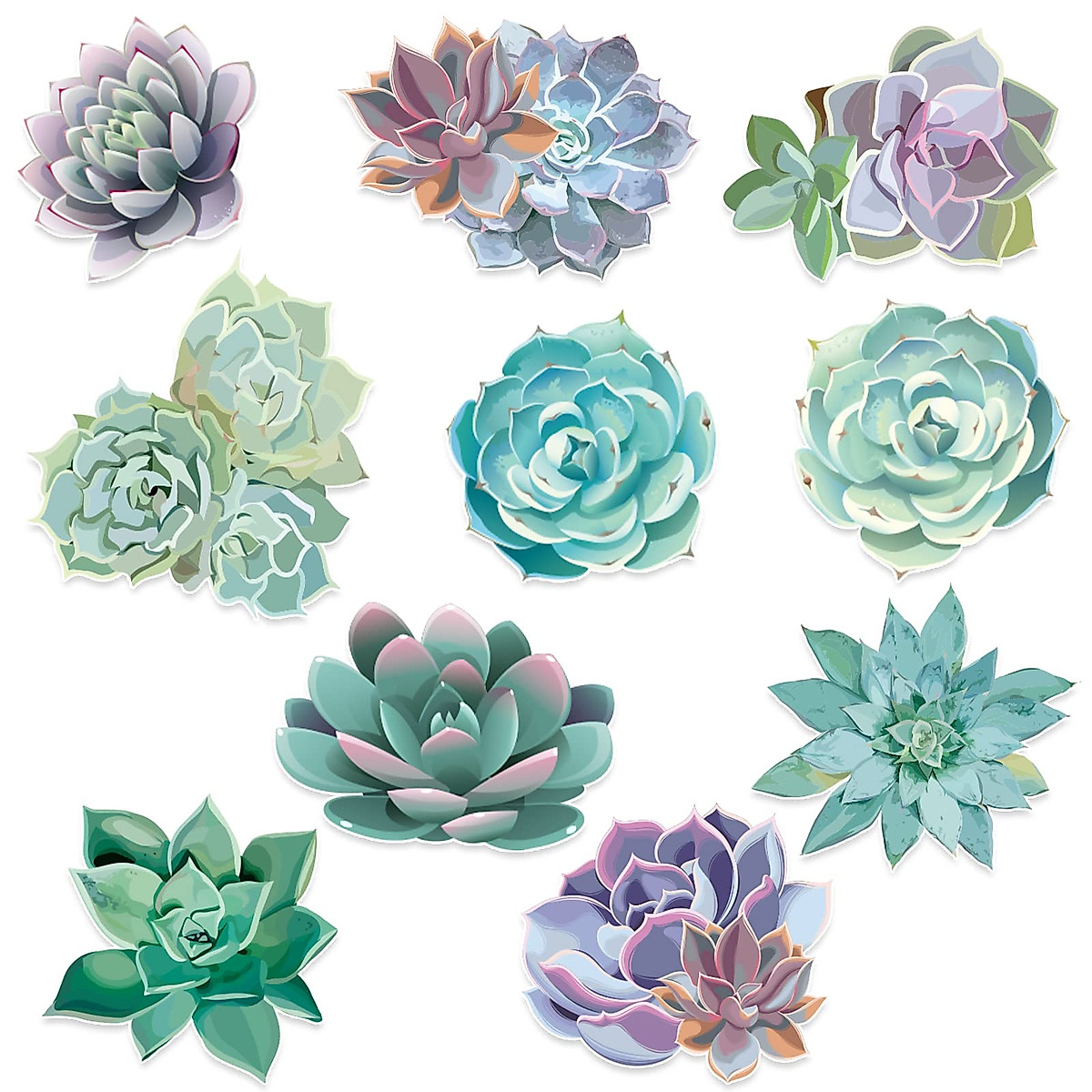 50pcs Succulents Cutouts Succulents Cut-Outs Classroom Decor Succulents Paper-Cuts Succulents Bulletin Board Cuts for Kids School Classroom Office Party Wall Decorations