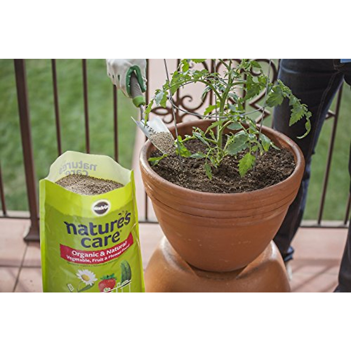 SCOTTS MIRACLE GRO 100132 MG Fruit/Flower Food, 8-Pound