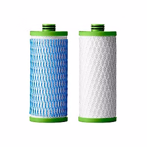 AO Smith Claryum Filter Replacement - 2 Pack - AO-US-200-R