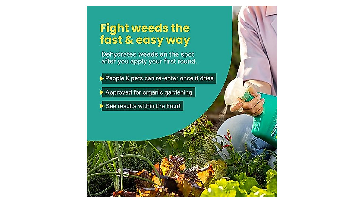 Sunday Weed Warrior - 32oz Organic Weed Killer Spray