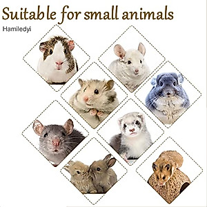 HAMILEDYI Hay Feeder Rack Plastic for Rabbits Hanging Timothy Hay Dispenser Bunny Grass Holder Less Wasted for Chinchilla Guinea Pigs and Other Small Animals