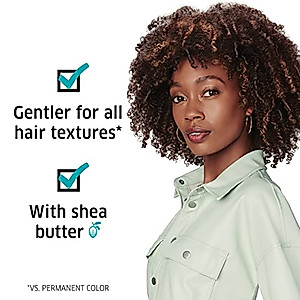 COLORCHARM Demi Permanent Hair Color| 9NA Light Natural Ash Blonde | Gloss, Refresh and Tone | 2 Fl Oz