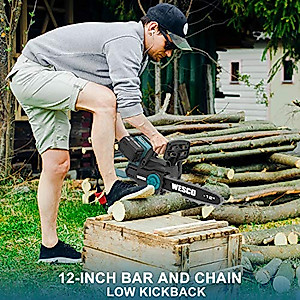 Cordless Chainsaw, WESCO Chain Saw, 2Pcs 4.0Ah Li-ion Battery and Charger Included, Tool-Free Chain Tensioning, Auto Chain Lubrication, Battery Power Chain Saws (40V - 12in)