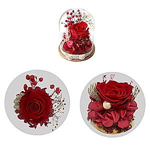 HENJADE Artificial Flower Rose Gift Decorations Beauty Rose Flowers, Rose Glass Dome, Red Forever Rose, Flower in Glass Dome, for Her Unique Gifts for Mom Valentine Christmas(Red)