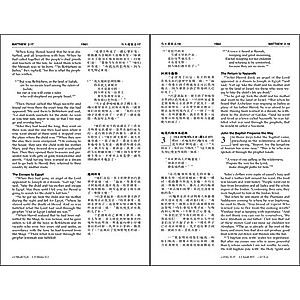 CUV (Simplified Script), NIV, Chinese/English Bilingual New Testament, Paperback, Red (Chinese Edition)